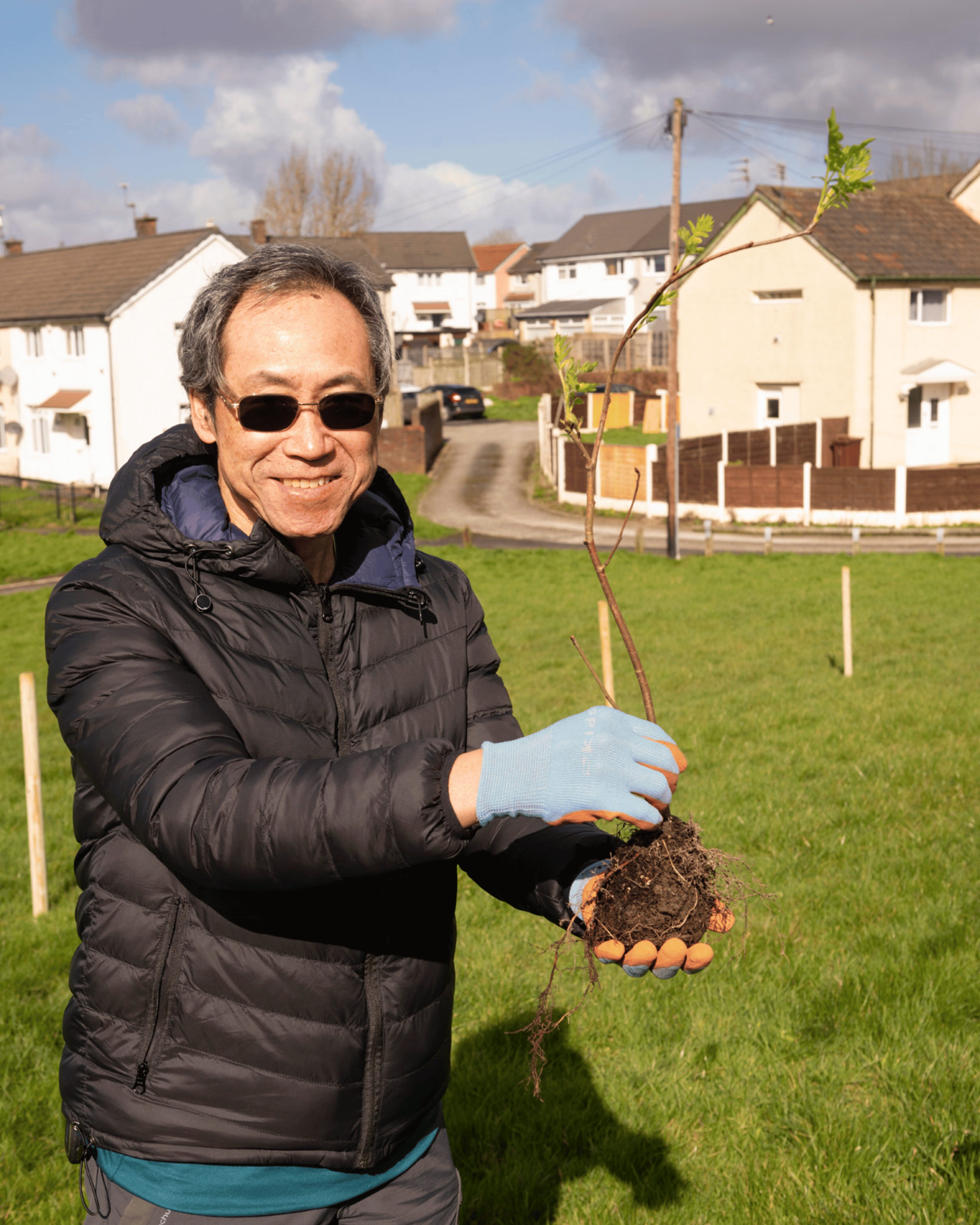 A record year for planting of semi-mature trees across Greater ...