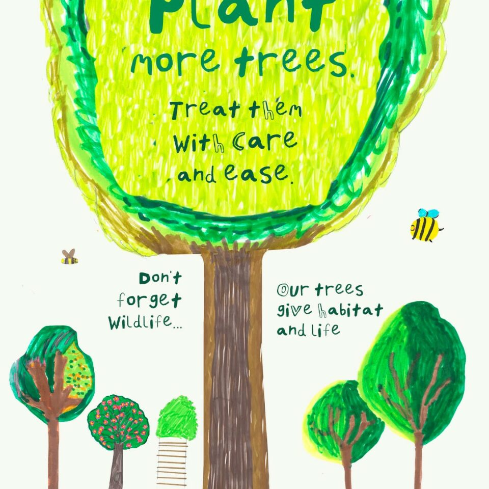 Community engagement - City of Trees