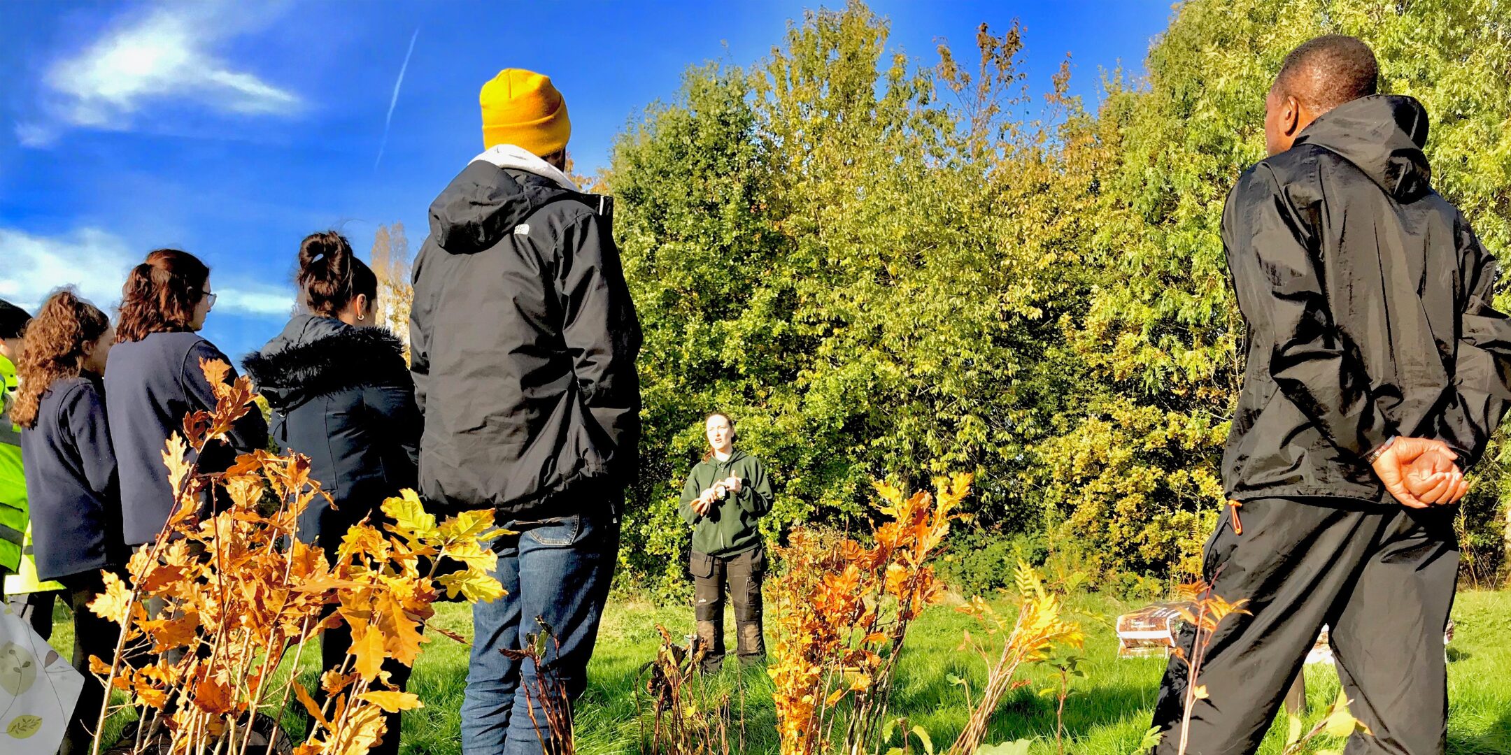 Citizen Forester Tree Maintenance at Boz Park, Bury - City of Trees